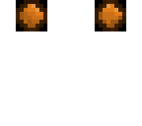 copper coin | Minecraft Skin