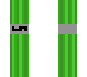 dollar bill | Minecraft Skin