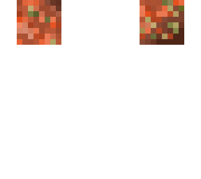Hunk of Rotten Flesh | Minecraft Skin