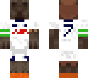 Tottenham Capybara | Minecraft Skin