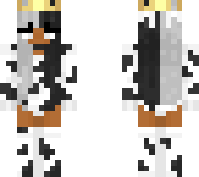 NIT MINE | Minecraft Skin