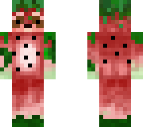 Watermelon Raccoon SLIM | Minecraft Skin
