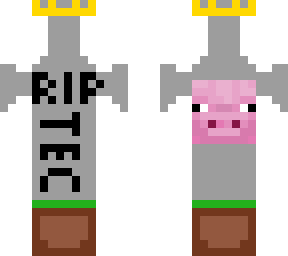 RIP Technoblade | Minecraft Skin