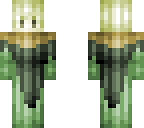 monk | Minecraft Skins