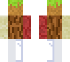 grass block | Minecraft Skins
