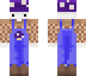 chip | Minecraft Skin