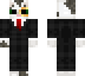 cat suit | Minecraft Skins