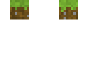 Dirt Block | Minecraft Skin
