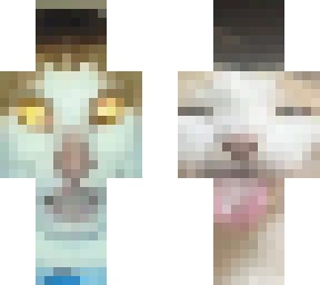 Monday left me broken cat | Minecraft Skin