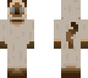 Siamese Cat :3 | Minecraft Skin