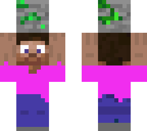 Pink Steve whit Block | Minecraft Skin