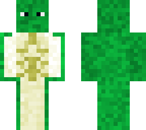 Turtle | Minecraft Skin