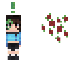 Official Skin Approver and Floor Giver Document | Minecraft Skin