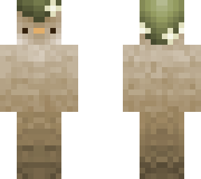 Mallard Duck Base | Minecraft Skin