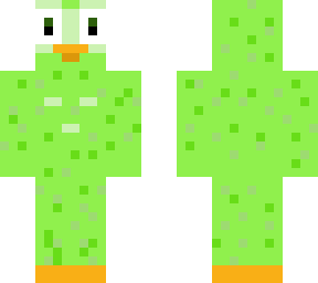 duolingo skin | Minecraft Skins