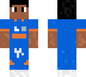 India Cricket Skin | Minecraft Skin