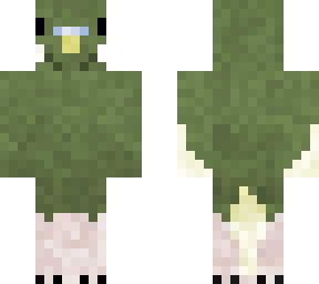 Kea Bird | Minecraft Skin
