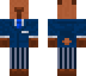Capybara | Minecraft Skin