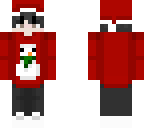Chritsmas avatar 2 | Minecraft Skin
