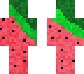 watermelon slice | Minecraft Skin