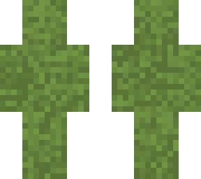grass | Minecraft Skin