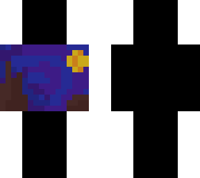 Starry night | Minecraft Skin