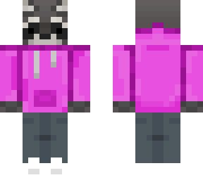 raccoon | Minecraft Skin