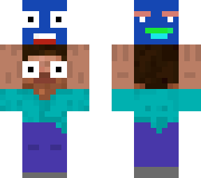 STEVE CARRYING A DUCK | Minecraft Skin
