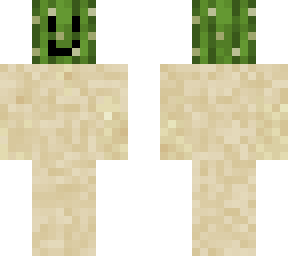 Cactus | Minecraft Skin