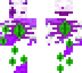 void walker | Minecraft Skin