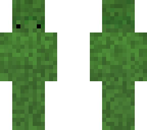 Grass | Minecraft Skin