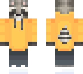 Racoon | Minecraft Skin