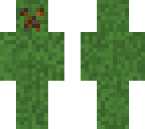Grass and Dirt Creeper | Minecraft Skin