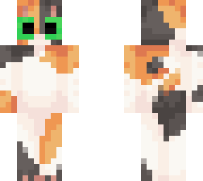 Silly gato | Minecraft Skin