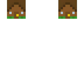 House Head | Minecraft Skin