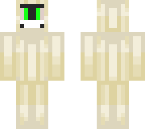 crazy bot | Minecraft Skin
