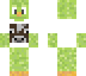 Duolingo | Minecraft Skin