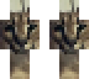 floppa | Minecraft Skins