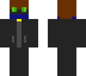 cat noir | Minecraft Skins