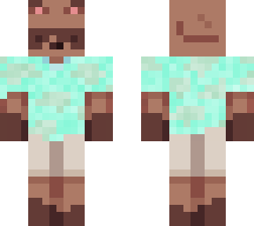 raccoon | Minecraft Skins