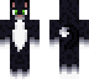 Blocky the cat | Minecraft Skin