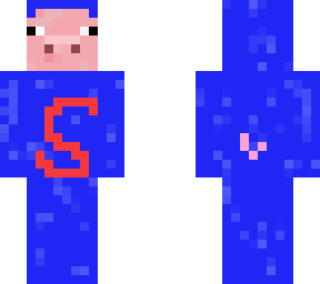 Sebbes Gris | Minecraft Skin