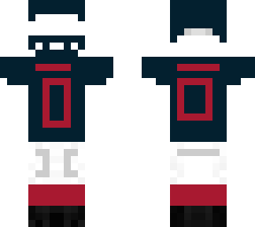 Houston Texans Home | Minecraft Skin