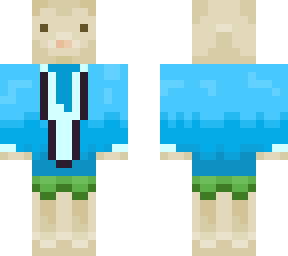 he is steve | Minecraft Skins