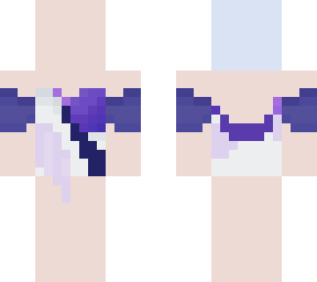robin hsr WIP | Minecraft Skin
