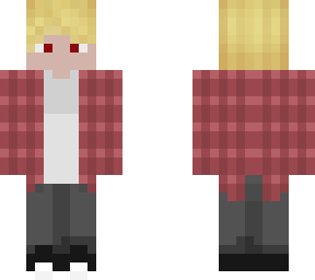 robin | Minecraft Skins