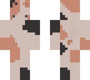 Calico Cat | Minecraft Skin