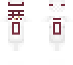 Florida State | Minecraft Skin