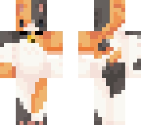Calico Cat | Minecraft Skin