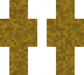 poop | Minecraft Skin